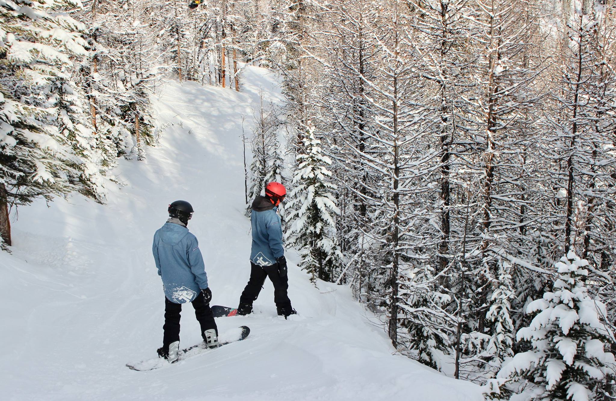From Faceplant to Freestyle Master - The Ticket to Ride Journal