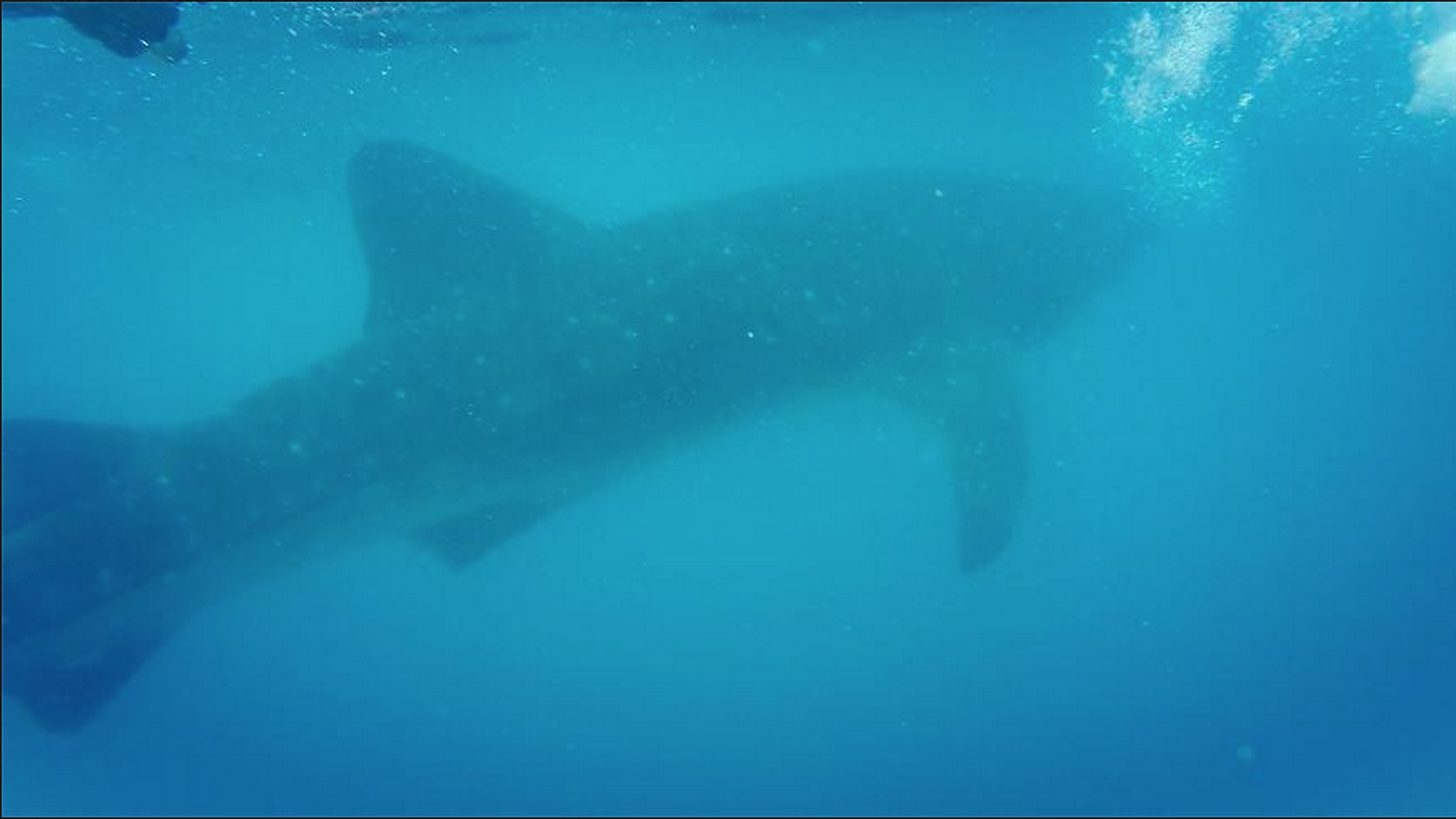 Video from a great trip to Mozam - The Ticket to Ride Journal